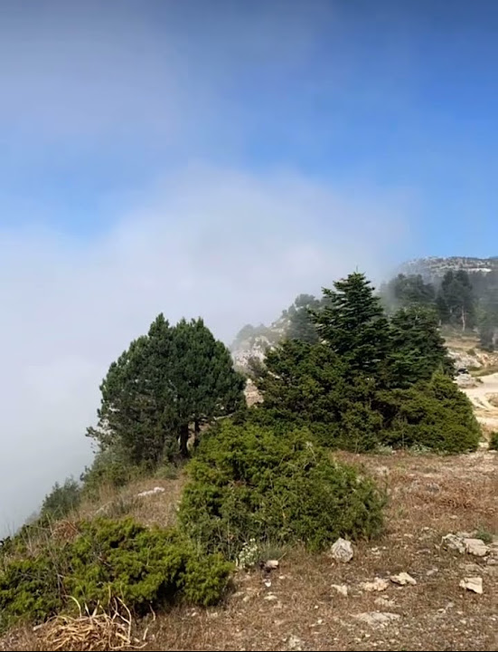 سبحان الخالق ( القموعة ) - YouTube