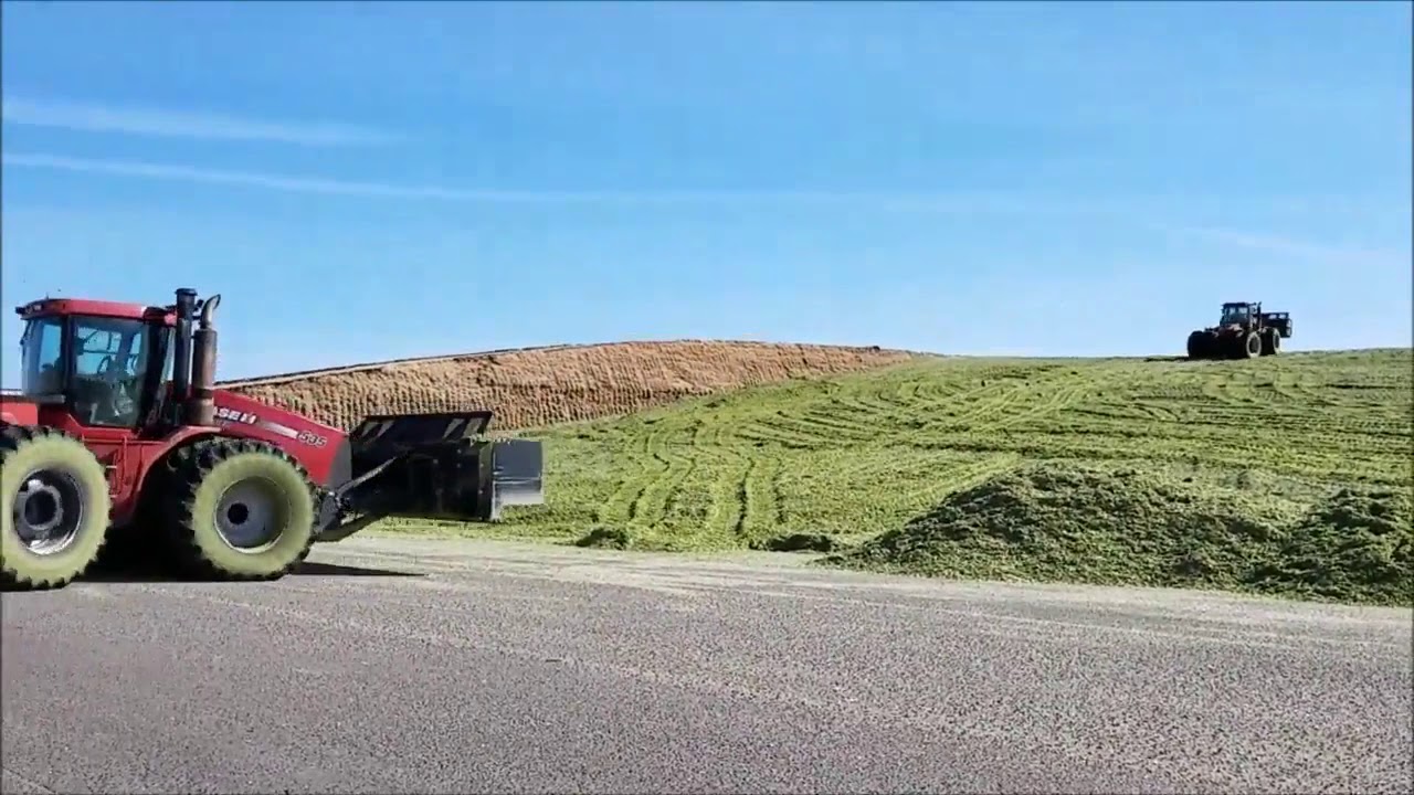 Silage piles at Riverview in SD - YouTube