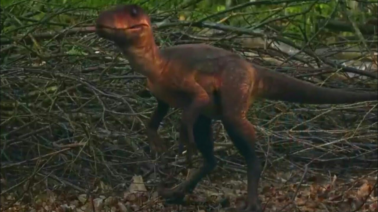 Jurassic Triangle [2024] - Velociraptor Screen Time - YouTube