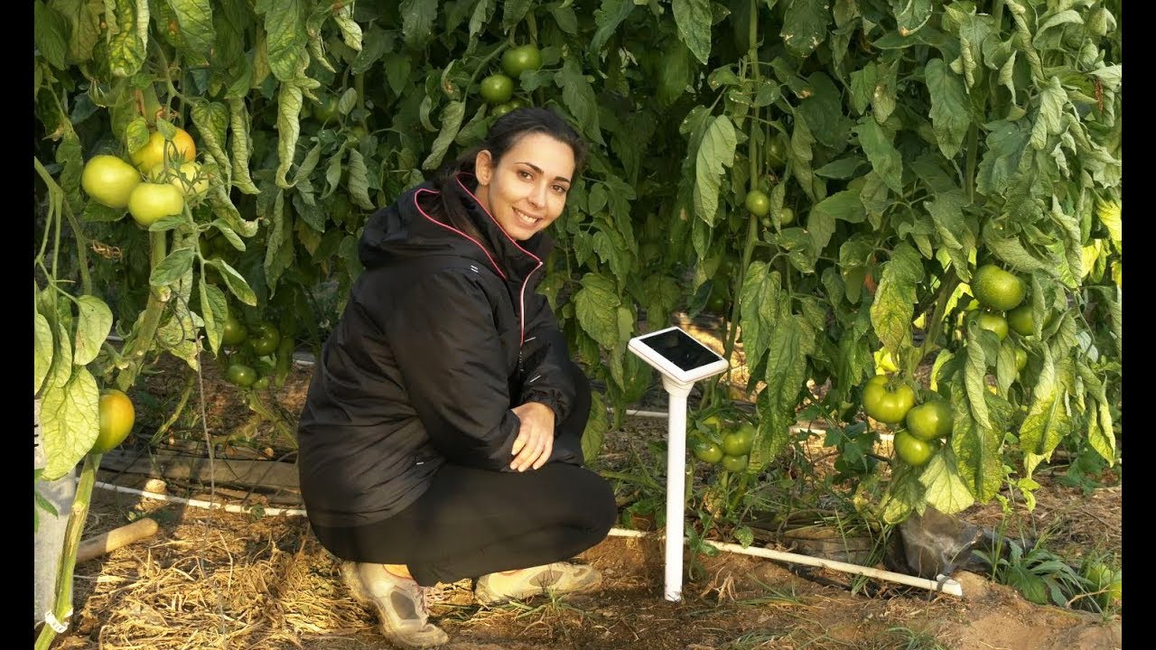 Cómo instalar el Stoock - YouTube