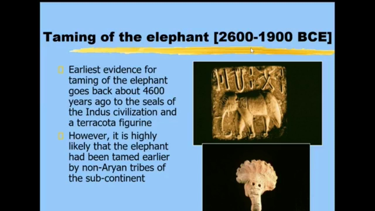 Prof. Raman Sukumar - YouTube