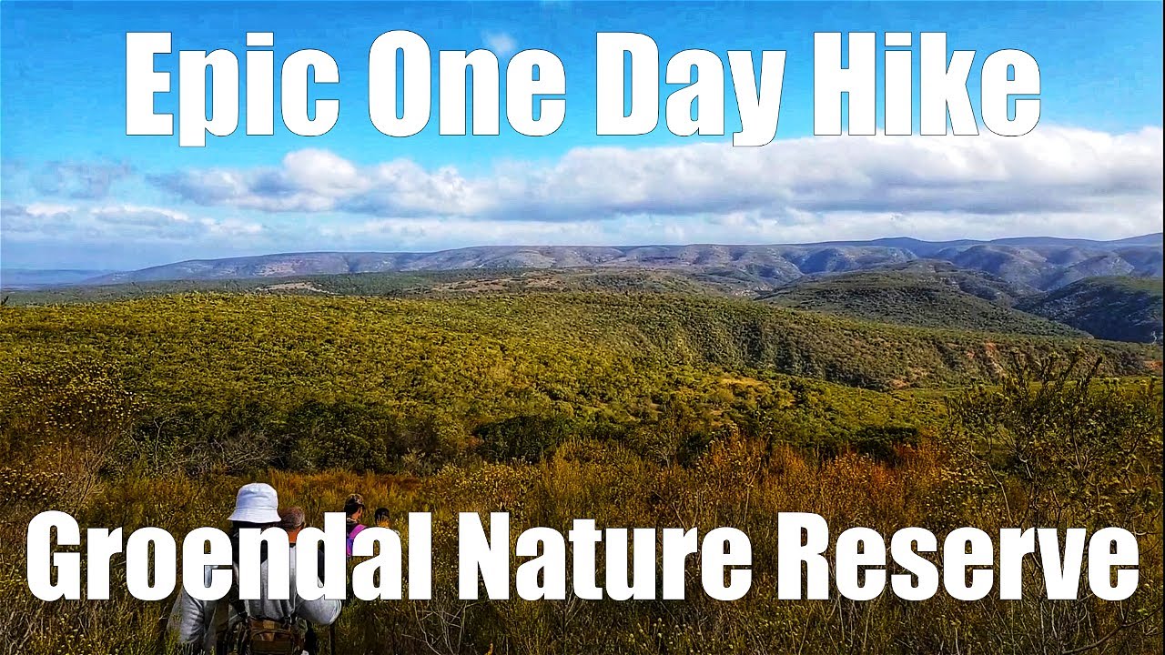 Epic Hike | We Swam With Cichlids | Groendal Nature Reserve - YouTube