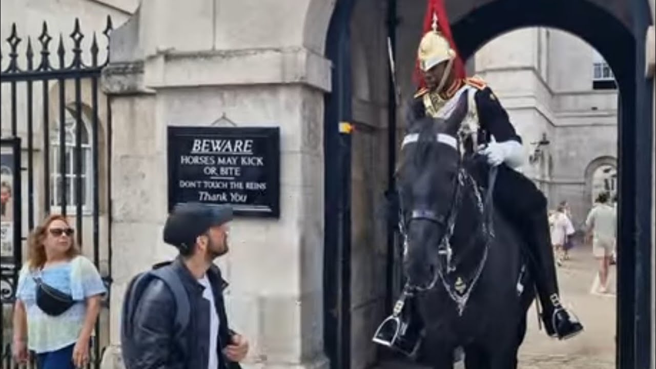 Tourist shocked and stund kings guard shouts dont touch my reins 21 ...
