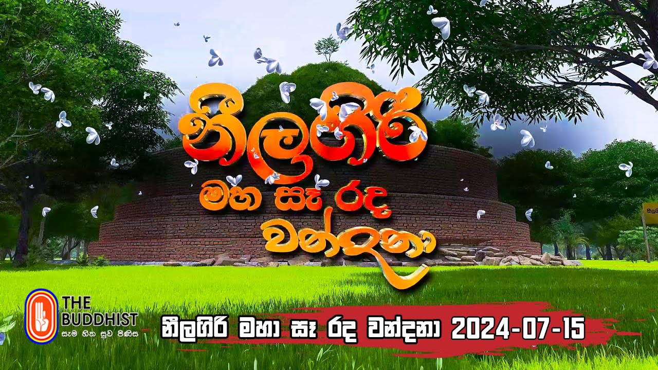 Neelagiri - නීලගිරි මහ සෑ රද වන්දනා | 2024-07-14 | (ධාතු නිධානෝත්සවය ...