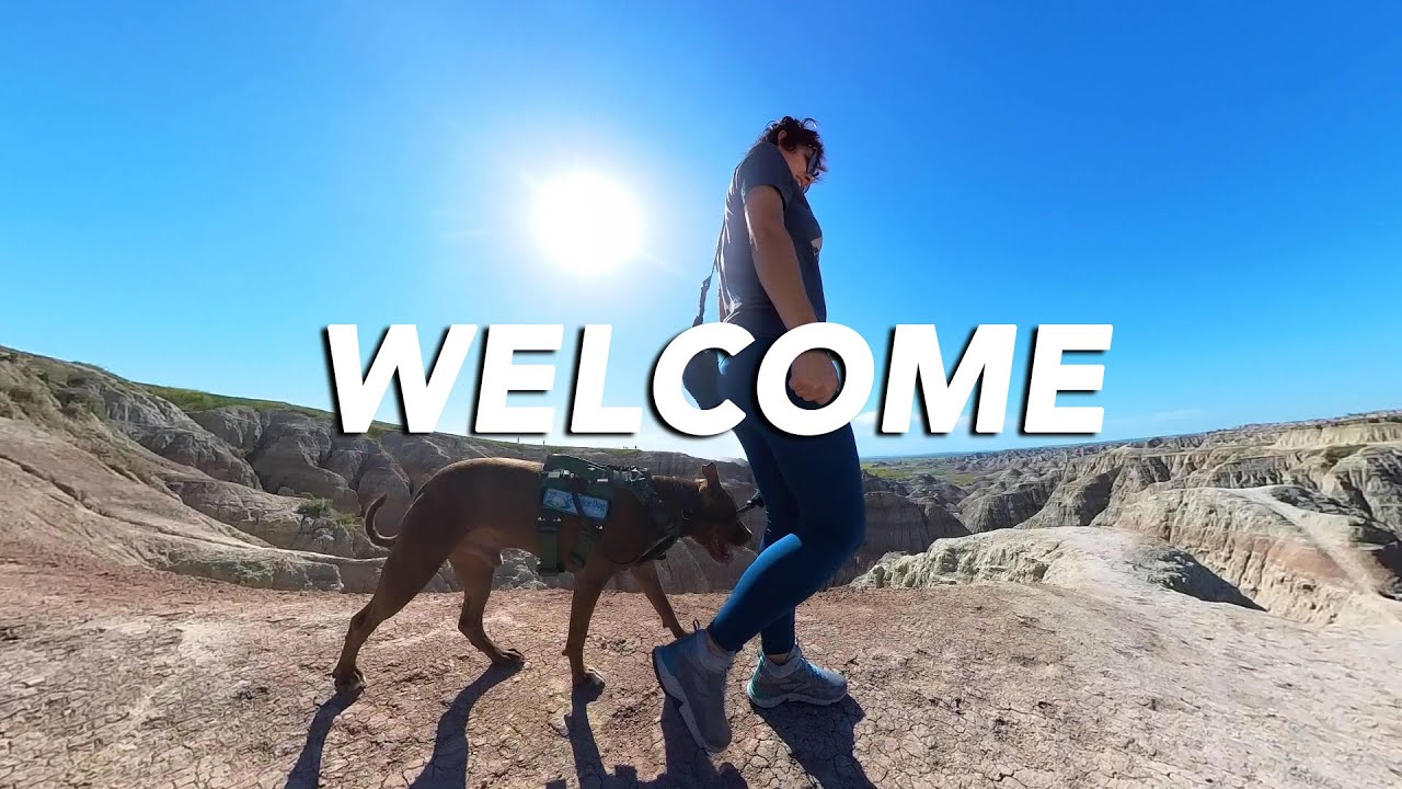Welcome to The Combine Dog Channel | Expert Tips Source for Dog Lovers ...