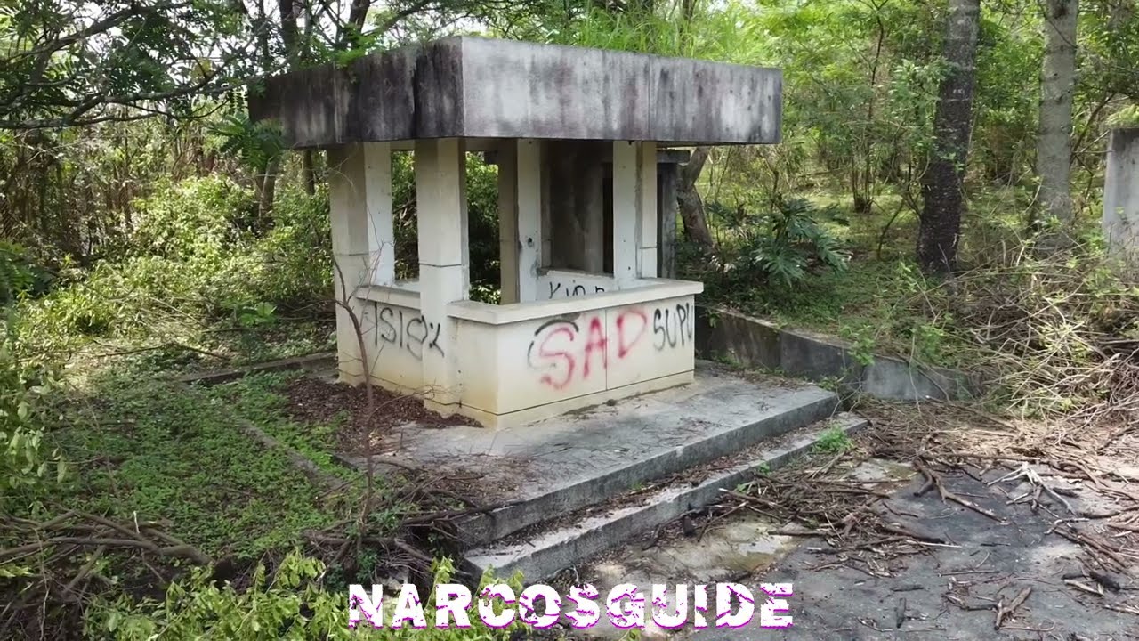 NarcosGuide - Club Colombia Replica - Chepe Santacruz Cali Cartel ...