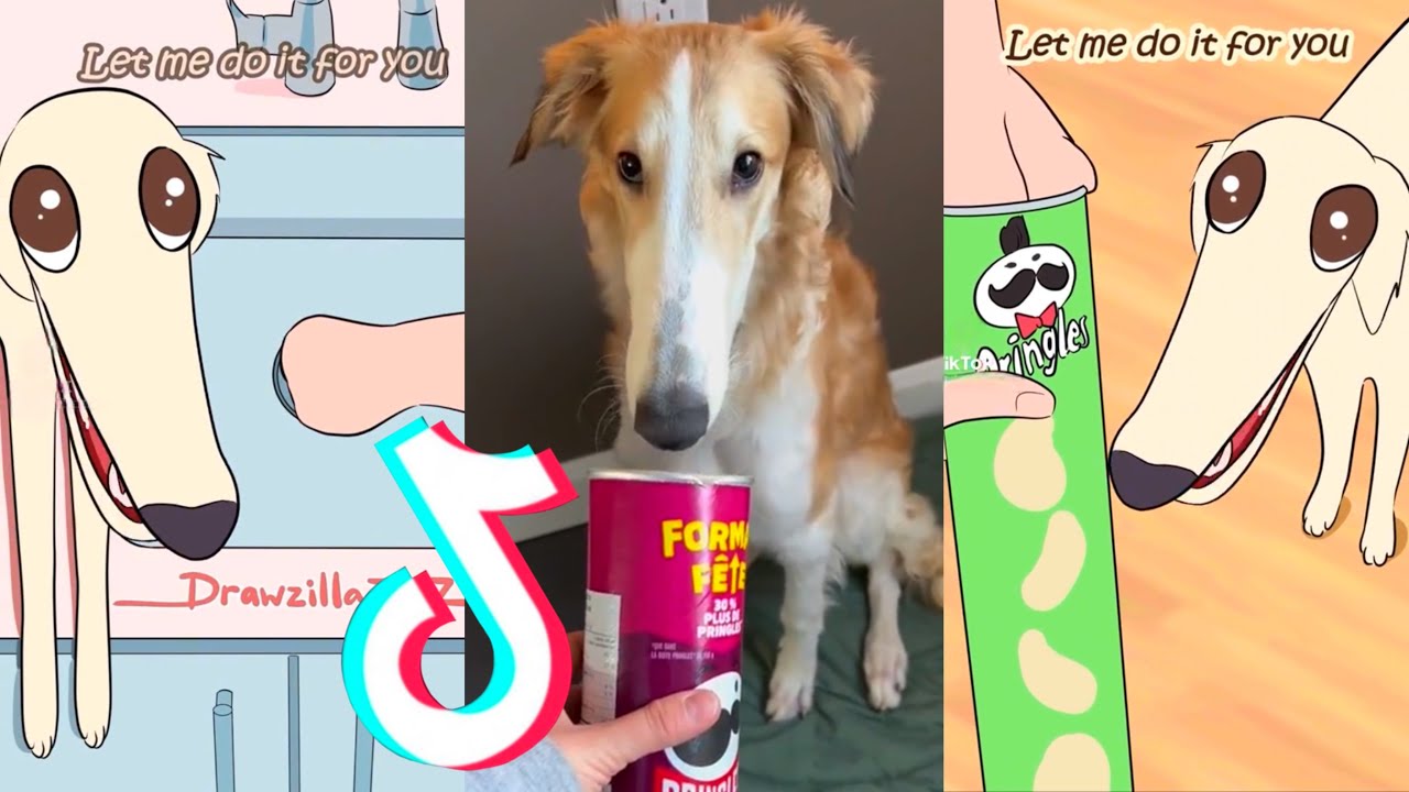 Let Me Do It For You Meme TikTok | Didn’t I Do It For You Meme ...