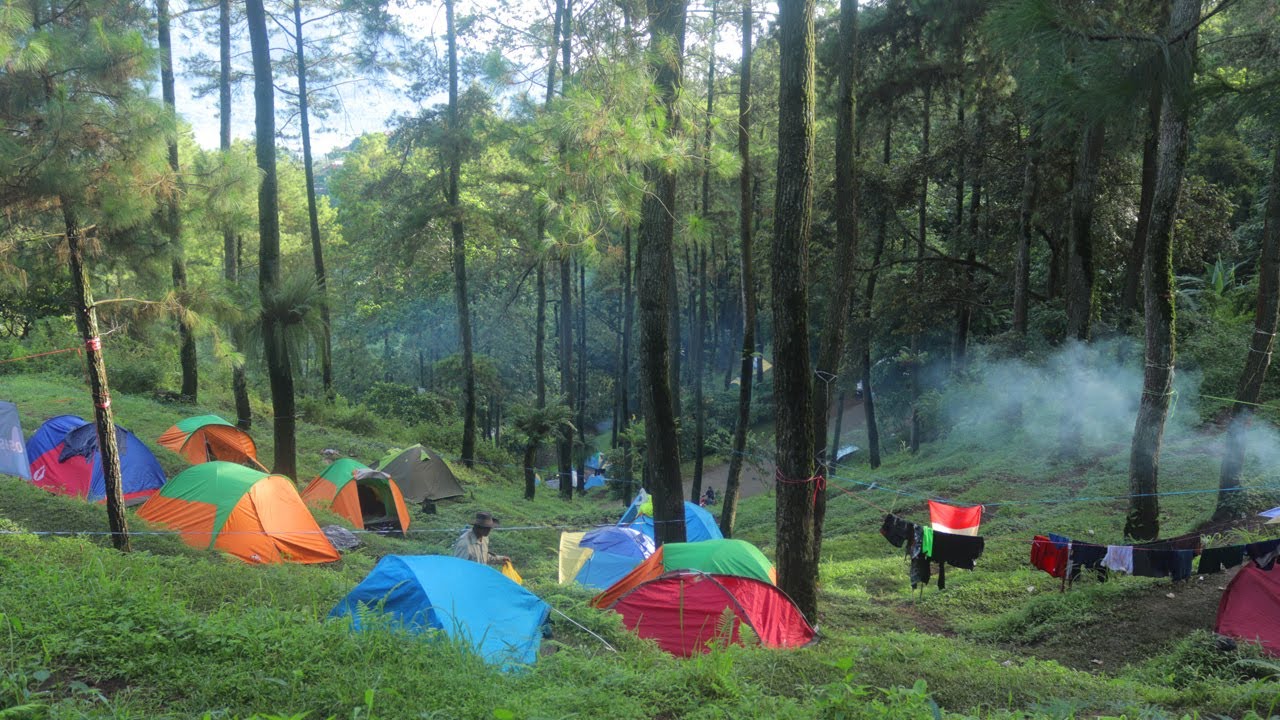 Camping di Bumi Perkemahan Dlundung, panduan lengkap, suasana asli ...