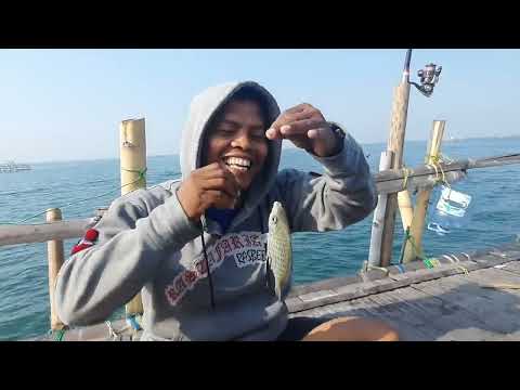 Mancing di bagan tanjungkait cukup bawak Umpan kembung pilet. - YouTube