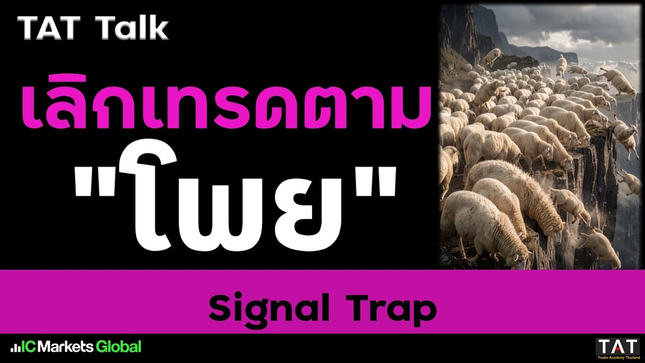 [TAT Talk] เลิกเทรดตามโพย Signal Trap - YouTube