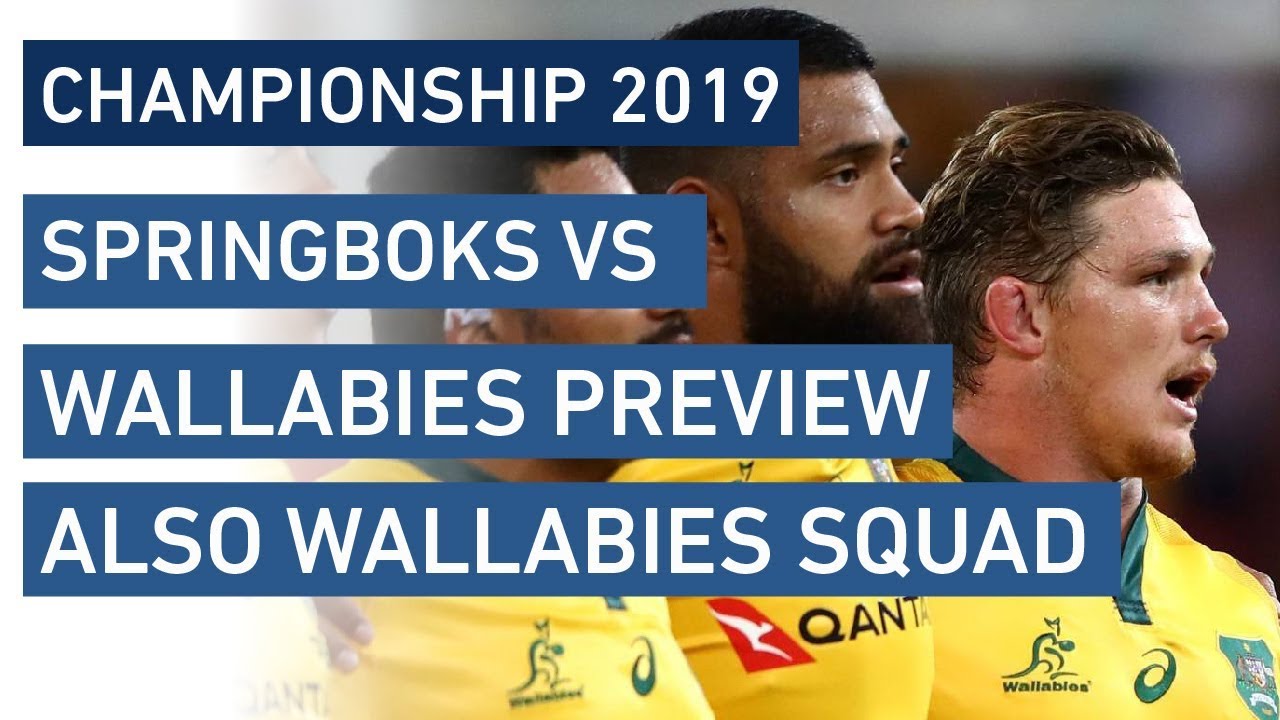 Springboks v Wallabies Preview - Rugby Championship 2019 - YouTube