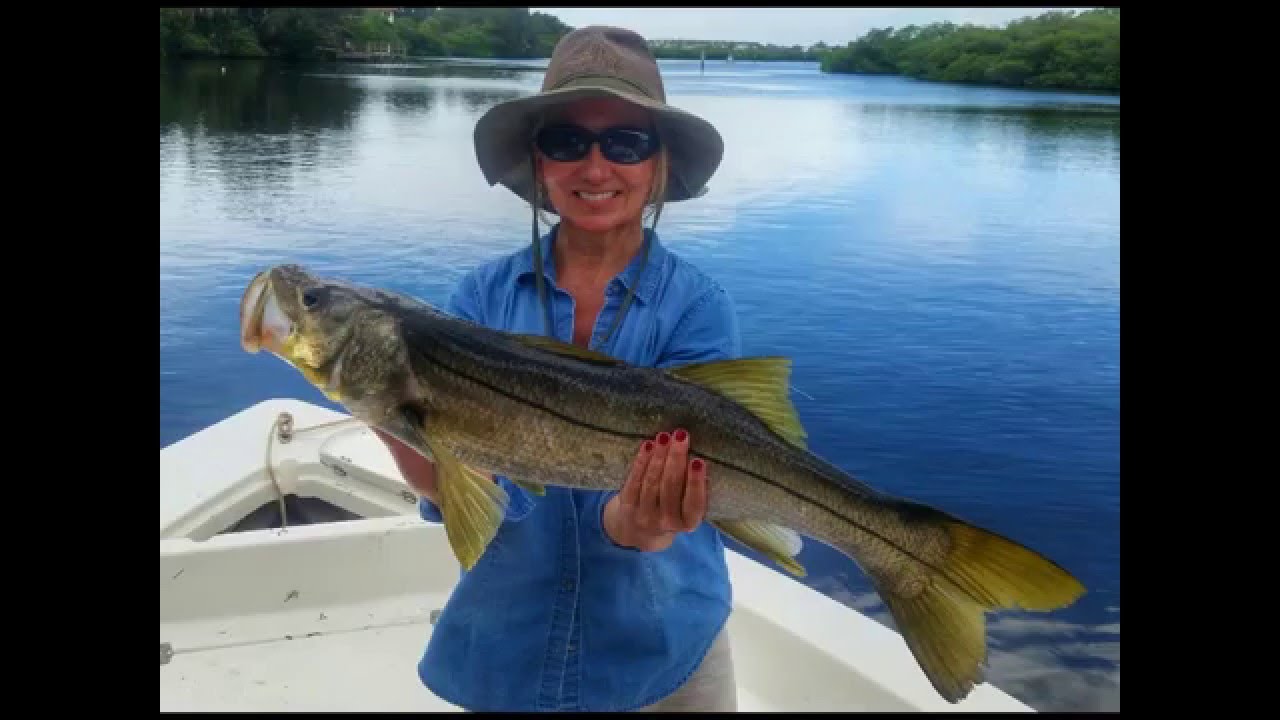 Flying Fish Fleet Music and Picture Collage - YouTube