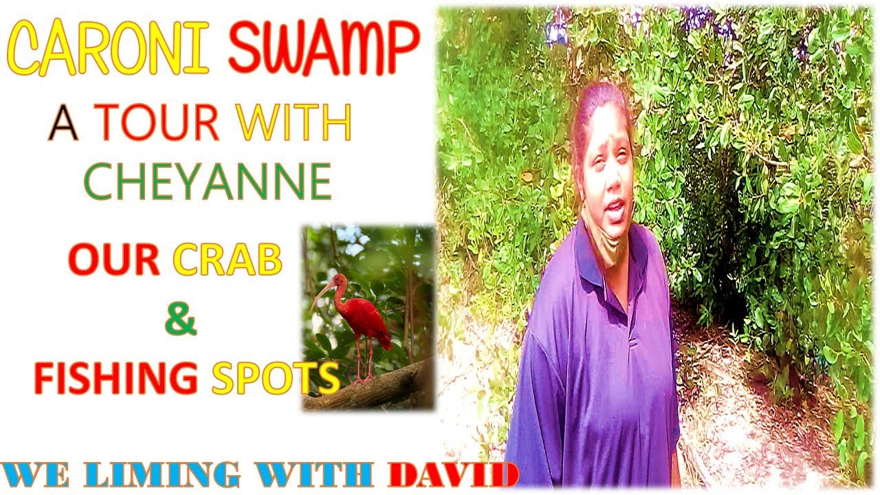 CaRoNi sWaMP | CaRONi bIRd sANcTUArY OuR fIShIng aRea & CrAB cATcHINg ...