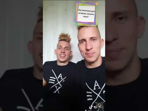 DA VINKY || DA VINKI TWIN BROTHERS | Da Vinki | Know Your Meme