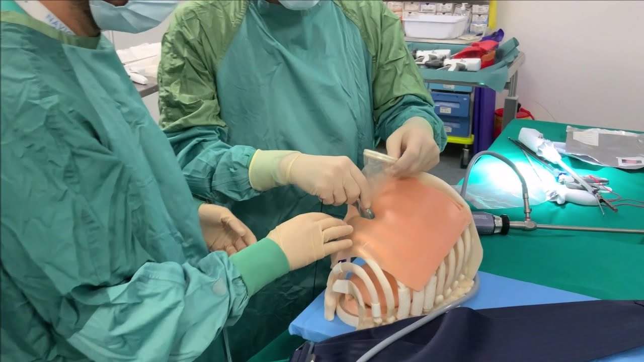 Simulation-Based Thoracic Surgery Training: 3D-Printed Model for Lower ...