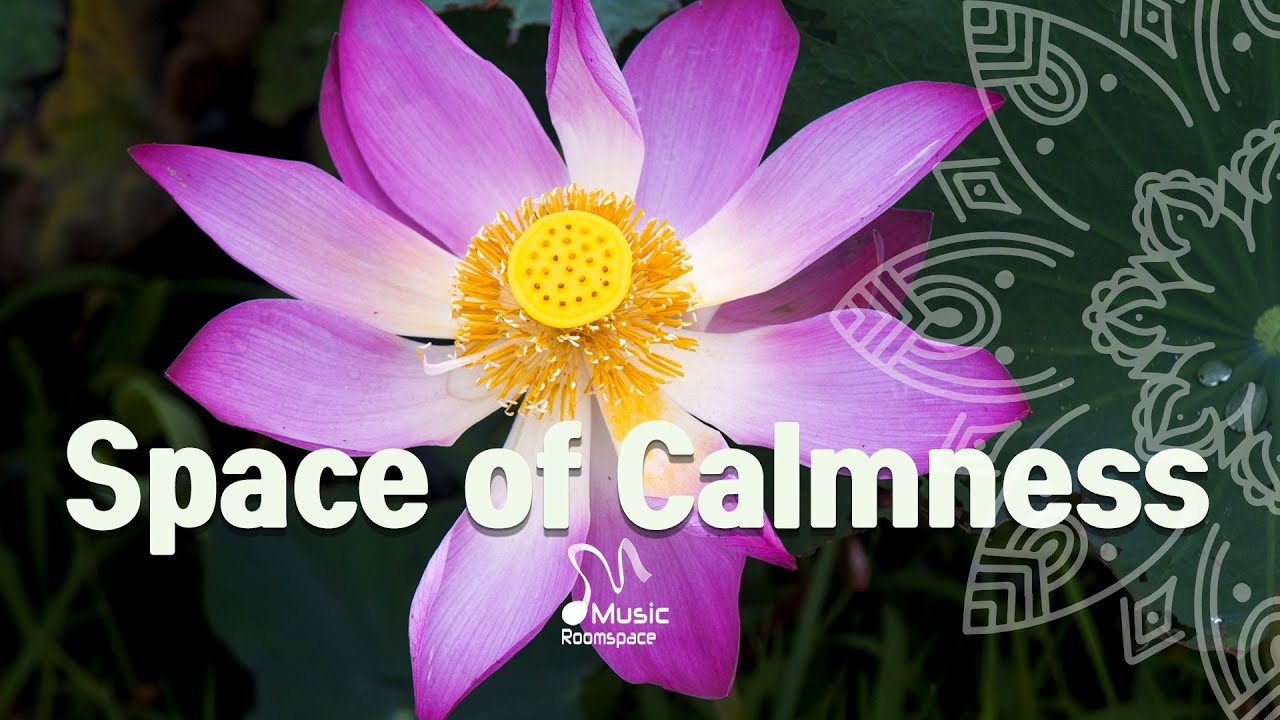 Space of Calmness 7 | 1-hour Music for Yoga Teachers & Practitioners ...
