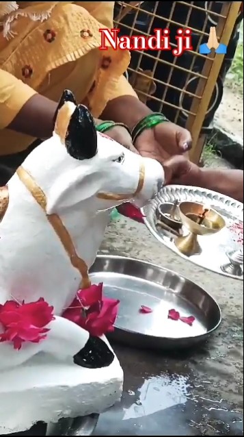 Jai ho nandi baba ki 🙏🏻💞........#blessed #bholenath #nandi #pooja #arti ...