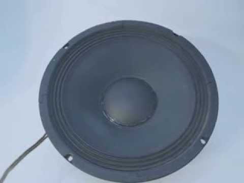 CARVIN PS10 Pro Series Woofer Loudspeaker - YouTube