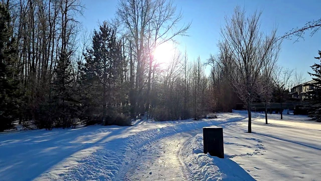Mundane Man Walks - Jan 19 2025 - YouTube