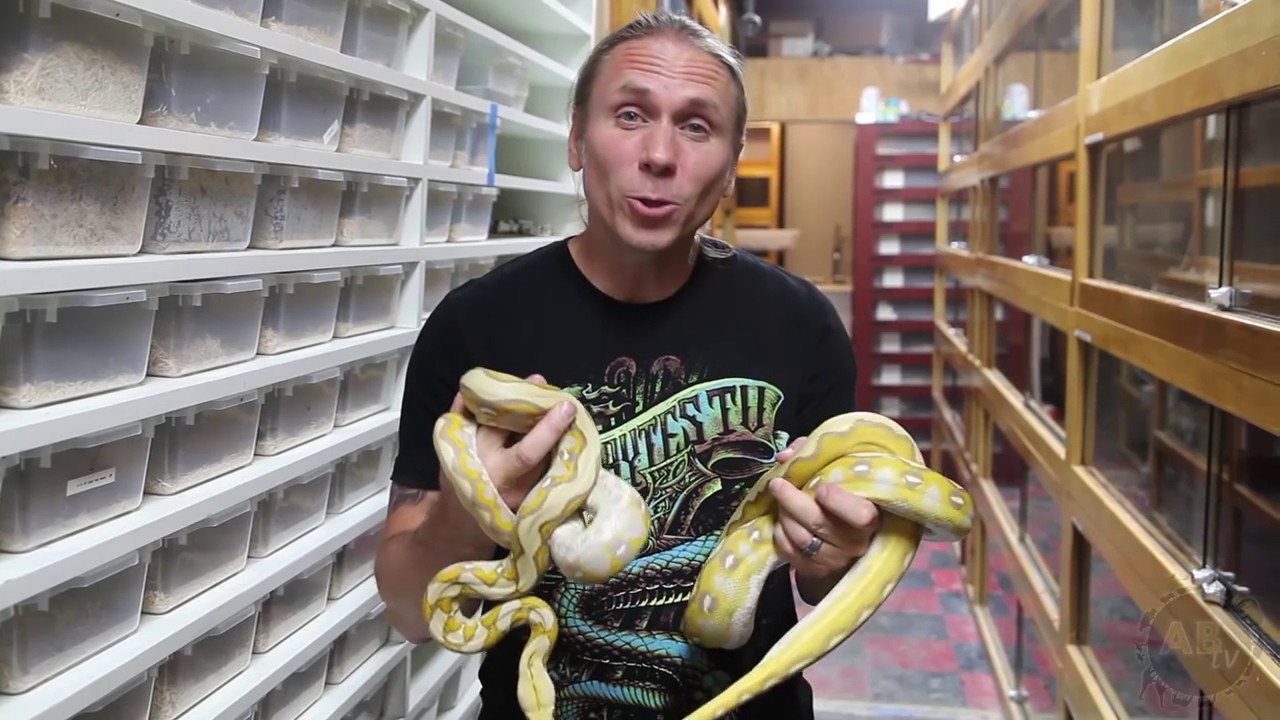 Snake Bites My Nose! SnakeBytesTV AnimalBytesTV - YouTube