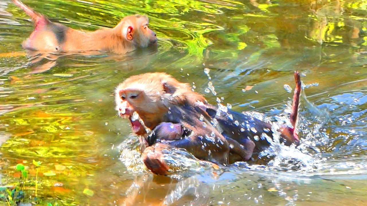 Oh!! Mom Joyce hugs her baby Jovi and takes a bath for the first time ...