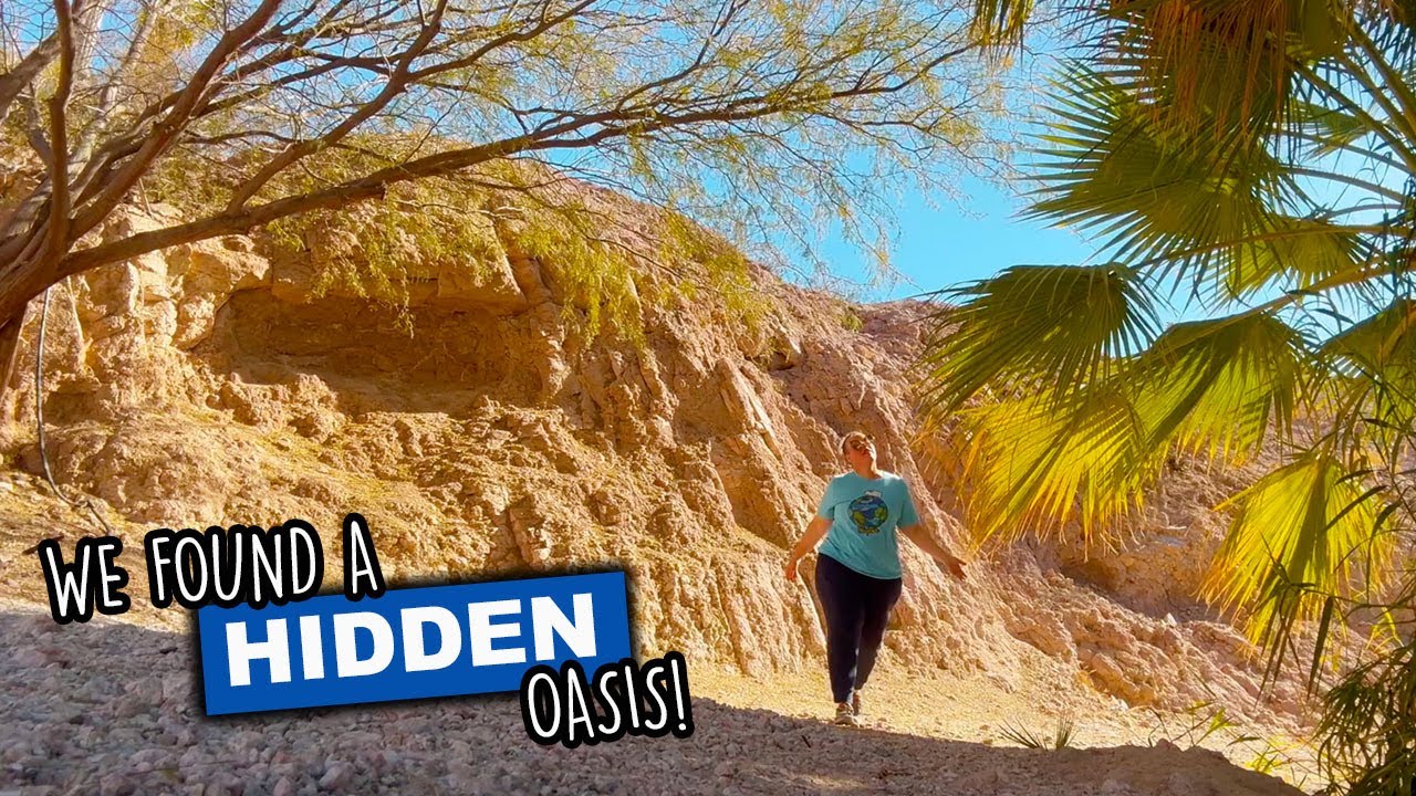 We Found A HIDDEN Oasis In Arizona | This Adventure Path Was Awesome ...