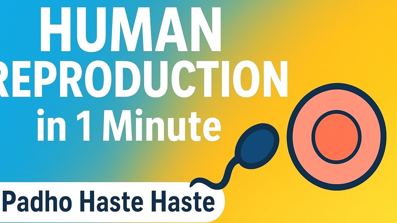 Human Reproduction in 1-minute🔥 || Quick📚 revision|| "Class 12th ...