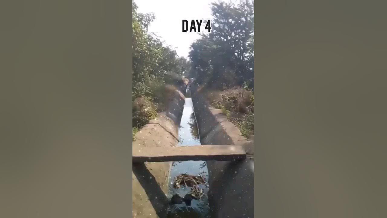 THE 30 DAYS VLOG CHALLENGE - DAY 4 ( RIVER ) #vlog #viral #trending #shortsfeed #shorts - YouTube