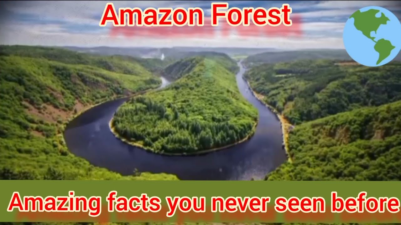 Amazon Forest | Amazing Facts | You Never Seen Before - YouTube