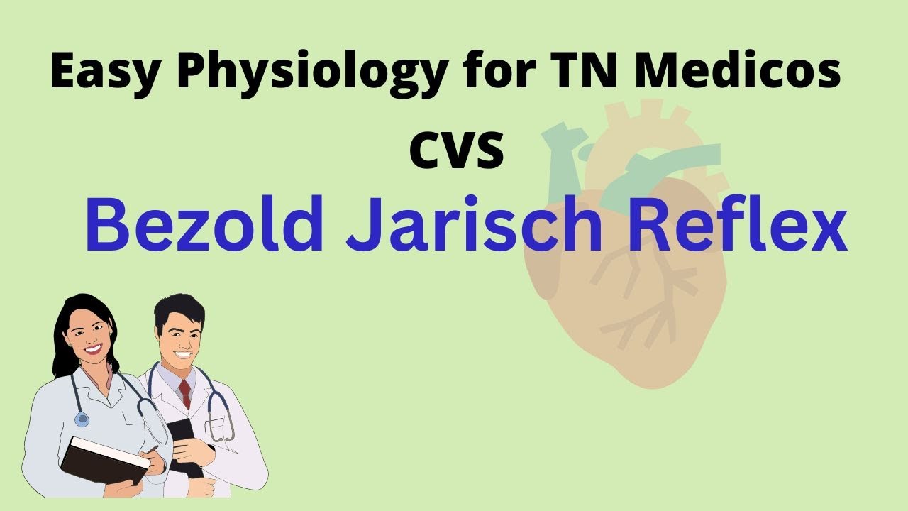 Bezold Jarisch Reflex - YouTube