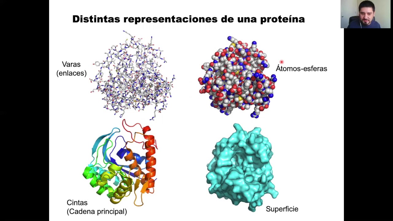 Extensión:"Estructura y función de proteínas ancestrales", Dr. Víctor ...