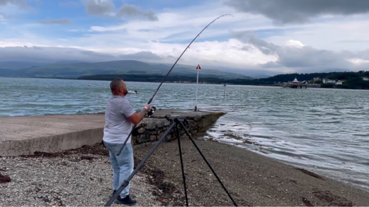A Week in WALES FISHING 🦈 U.K. Sea Fishing, Trout, Catfish & More ...