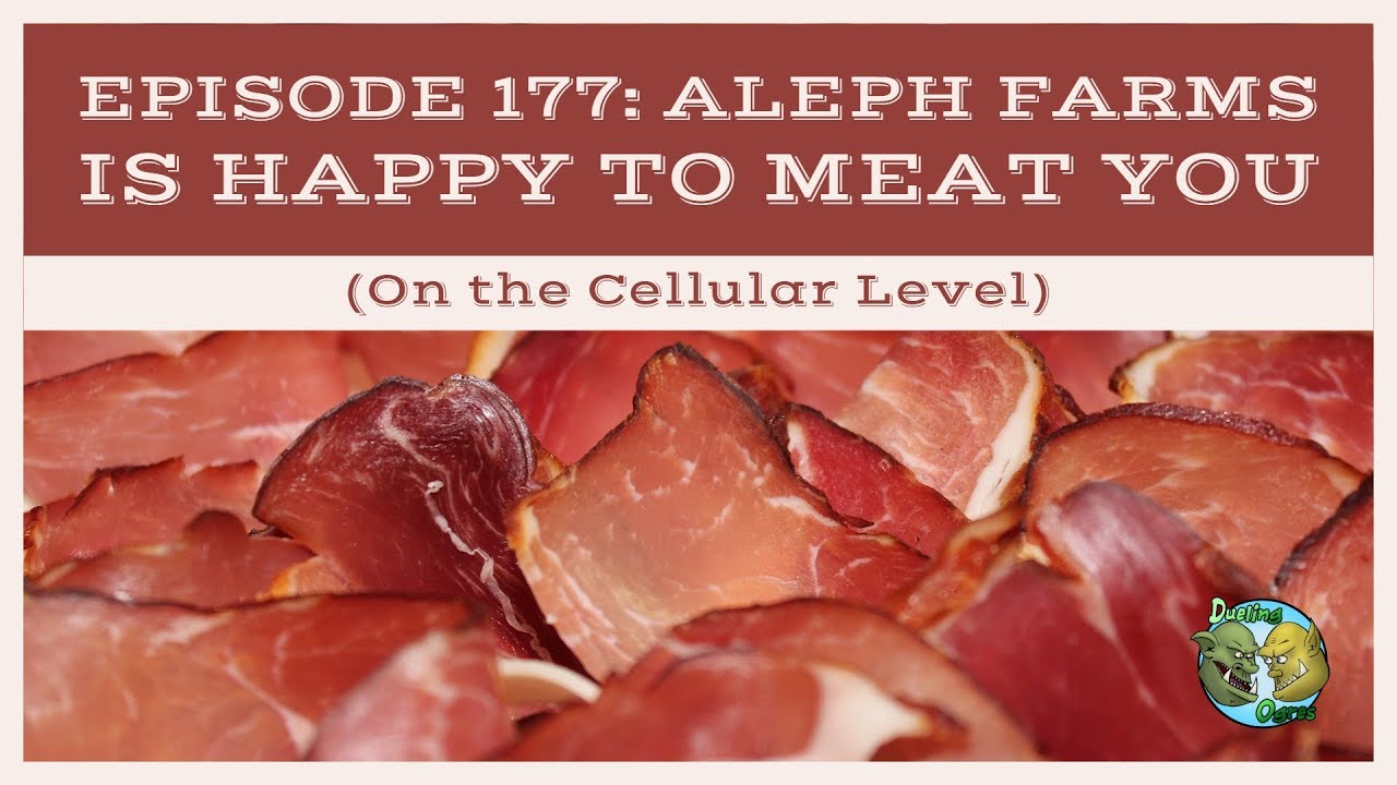 Episode 177: Aleph Farms is Happy to #Meat You (On the Cellular Level ...