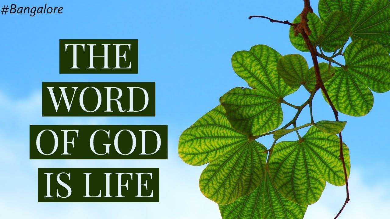 The Word Of God Is Life. Part 12 BANGALORE June 2010 - YouTube