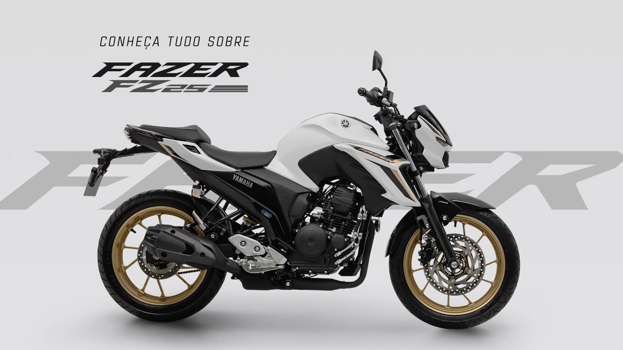 Review da Nova FAZER FZ25 Connected - Conheça tudo! - YouTube