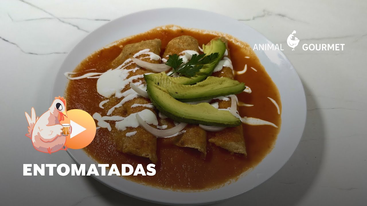 Receta de entomatadas con queso - YouTube