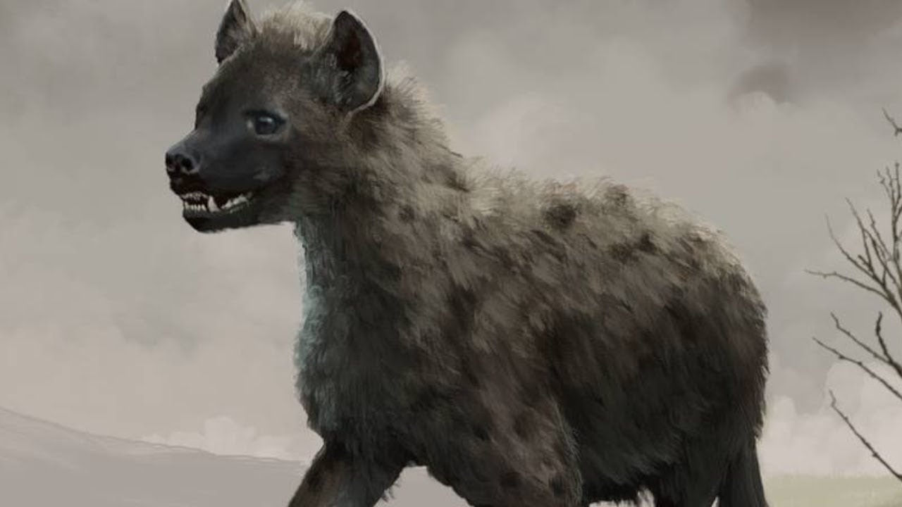 Cave hyenas - The Eurasian Bonecrushers - YouTube