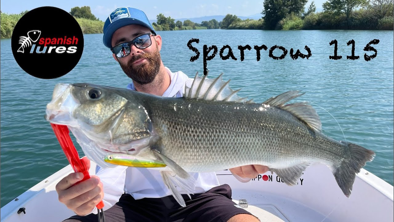 Πήραν Φωτιά τα Φρένα! ΛΑΒΡΑΚΙ ΤΕΡΑΣ στο Sparrow 115 - Boat Spinning ...