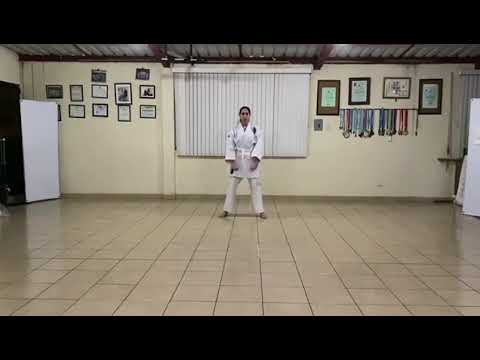 Michelle Beaudin, 12 13 años, Ronda 3, Heian Sandan 360p 30fps H264 ...