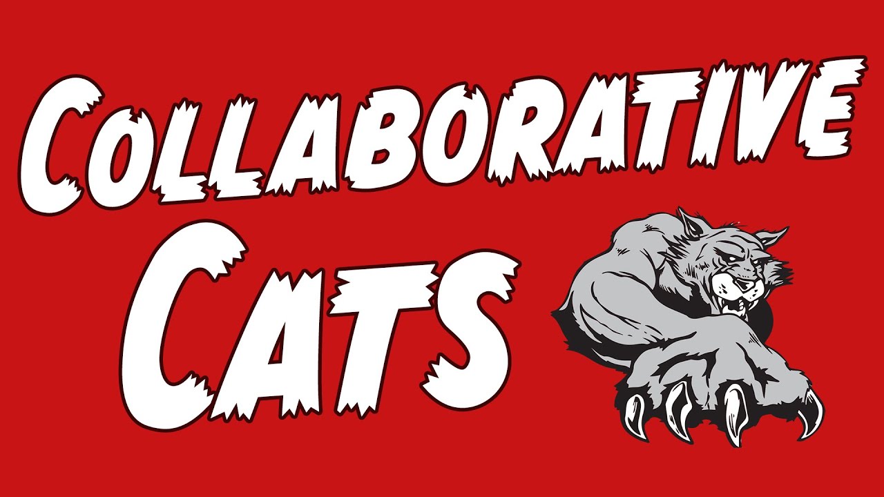 Collaborative Cats | October 2023 - YouTube
