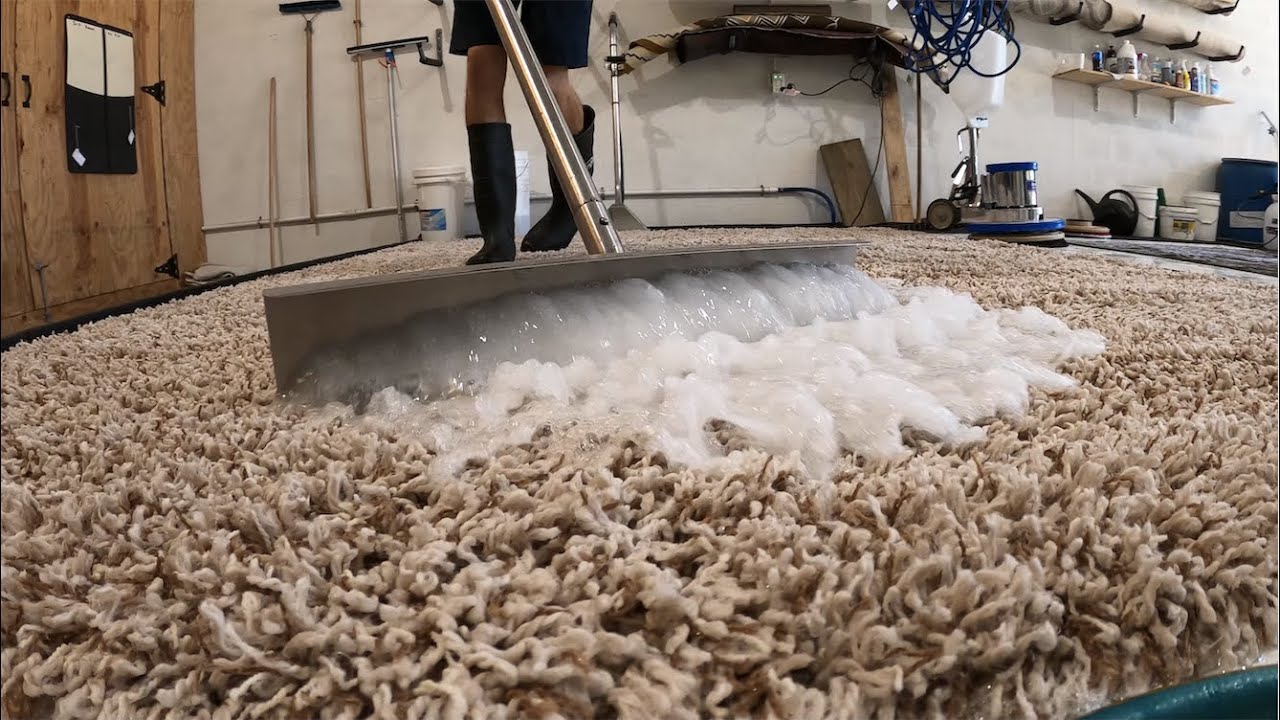 DEEP CLEANING A SHAG RUG || Properly - YouTube