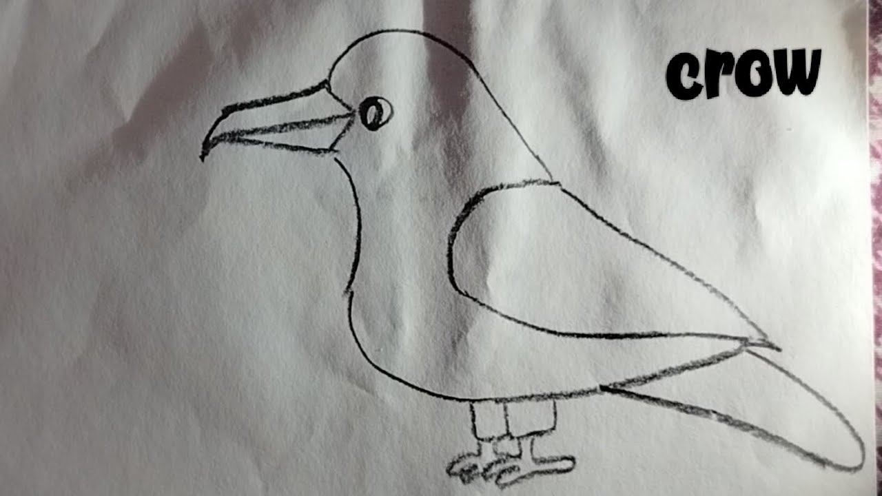 How to draw a crow 🐦‍⬛🐦‍⬛ drawing easy step by @_Yashtiwari_art.tricks ...