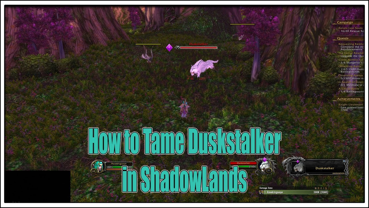 World of Warcraft Shadowlands - Duskstalker how to tame - YouTube