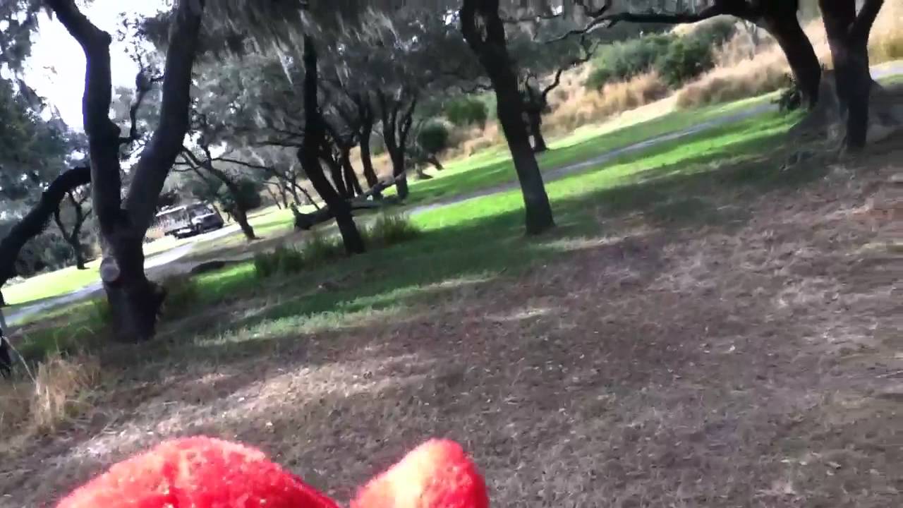 Mario's Disney World Adventure Part 2 - YouTube