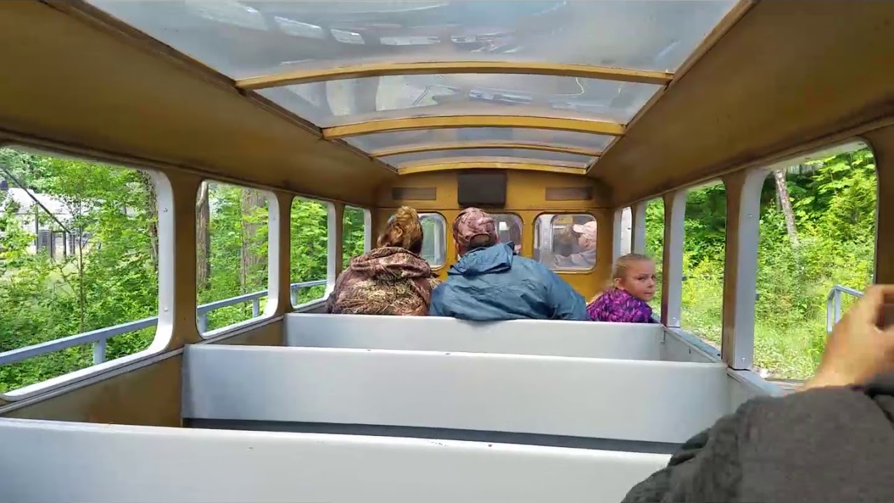 Zooliner 60th Birthday - YouTube