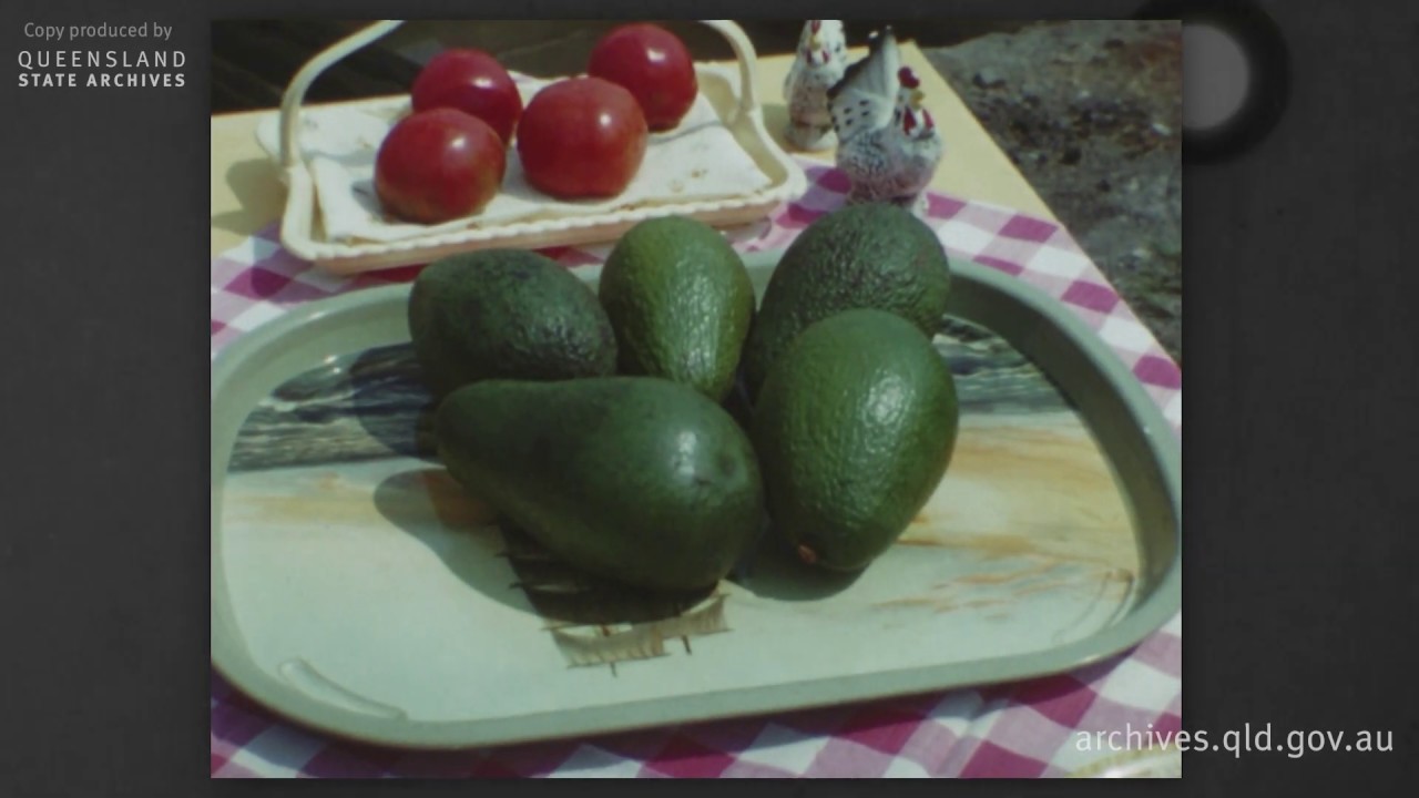 Avocado Culture in SEQ - Queensland Avocado Advisory Committee - YouTube