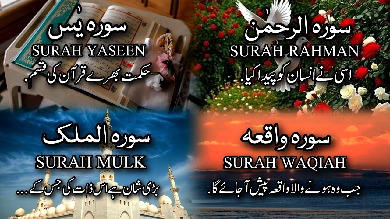 Most beautiful quran |surah yaseen,Surah rhman,surah waqiah,surah mulk ...