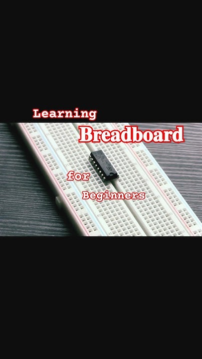 How to use Breadboard for beginner's - YouTube