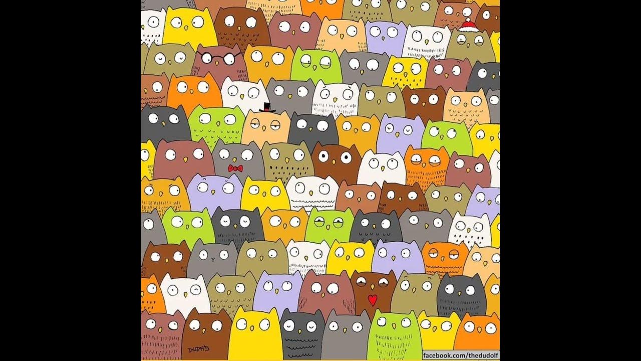 Where Is The Cat YouTube where-is-the-cat-youtube