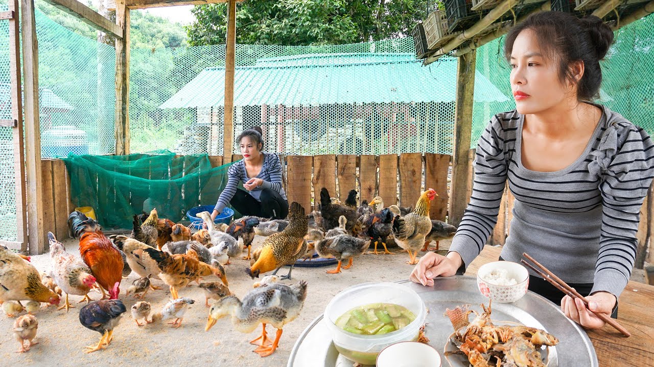 NGAN Alone Takes Care of The Farm, Fishe, And Cook - Always thinking ...